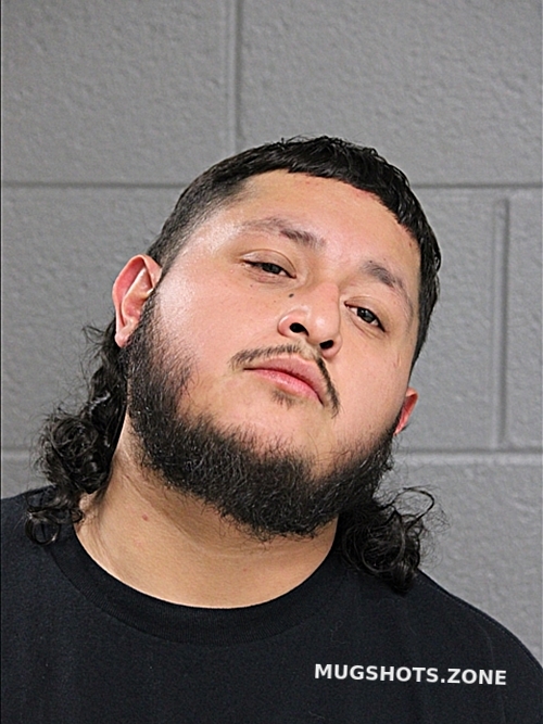 MARC ANTHONY SALGADO 06/20/2025 - Chicago Mugshots Zone