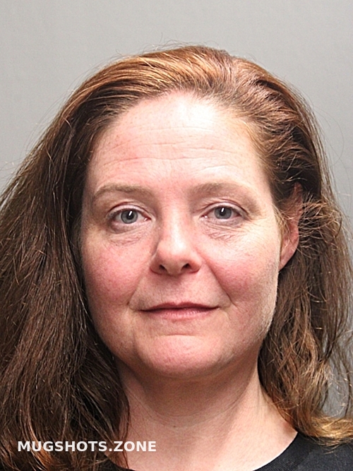 SARAH JEAN POISL-KULVICKI 06/20/2025 - Chicago Mugshots Zone