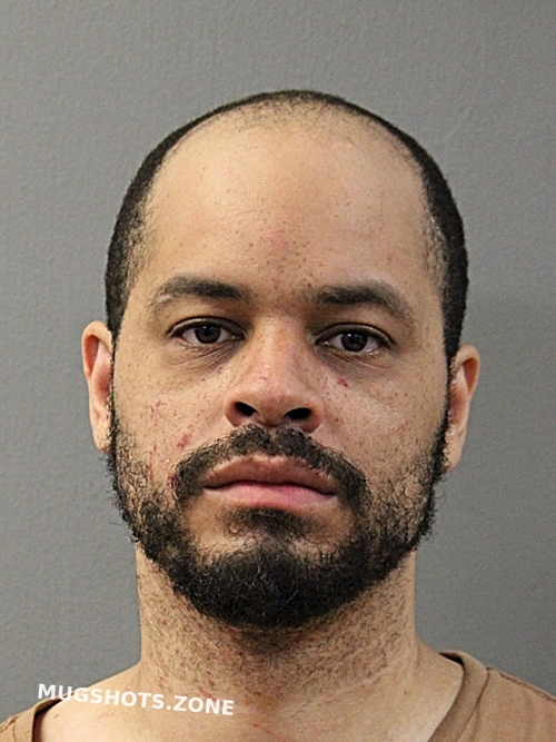 JONATHAN S RADNEY 06/22/2025 - Chicago Mugshots Zone