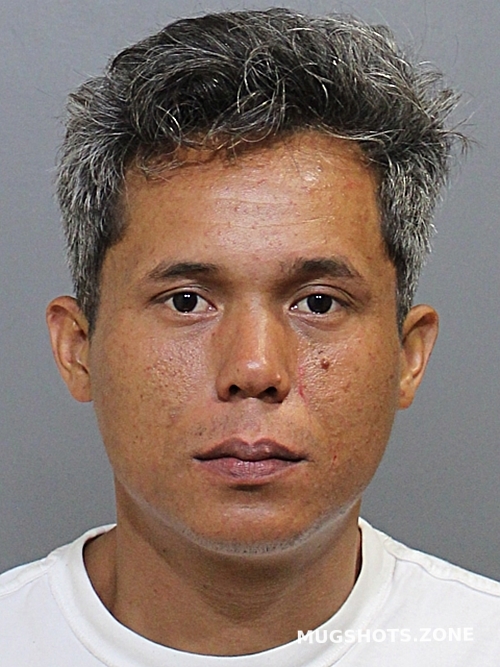 JOSE MARTIN VILLAMIZAR RODRIGUEZ 06/23/2025 - Chicago Mugshots Zone