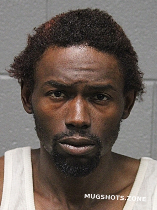 JOSHUA E ROWELL 06/24/2025 - Chicago Mugshots Zone