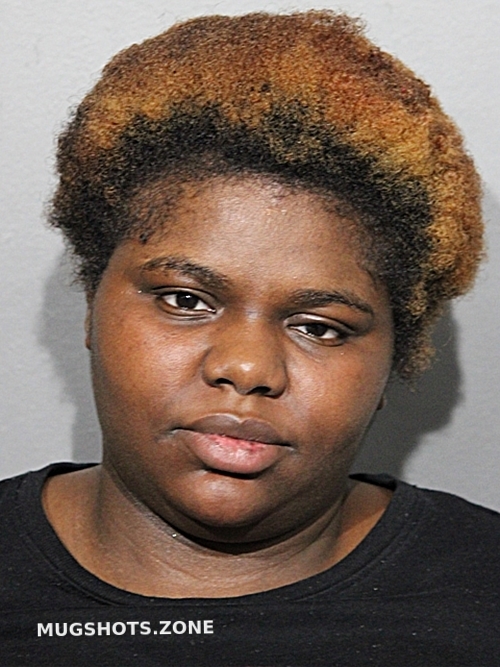 SHARON L ROBINSON 06/24/2025 - Chicago Mugshots Zone