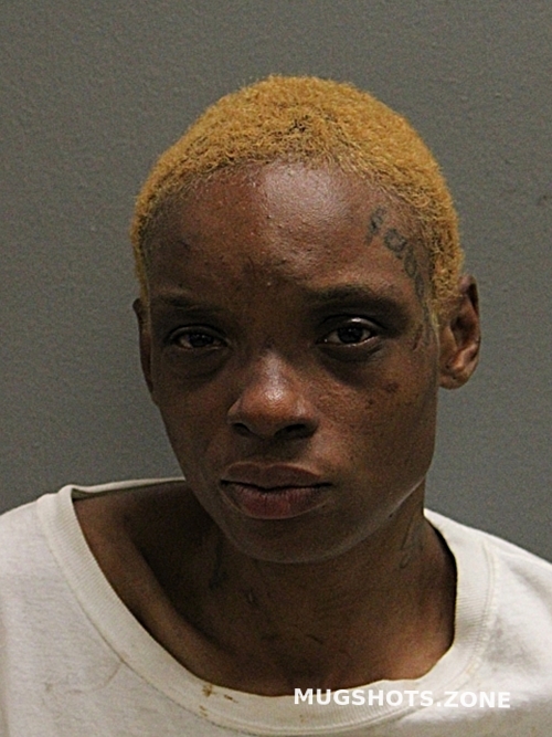 JOHNETTA R SMITH 06/24/2025 - Chicago Mugshots Zone