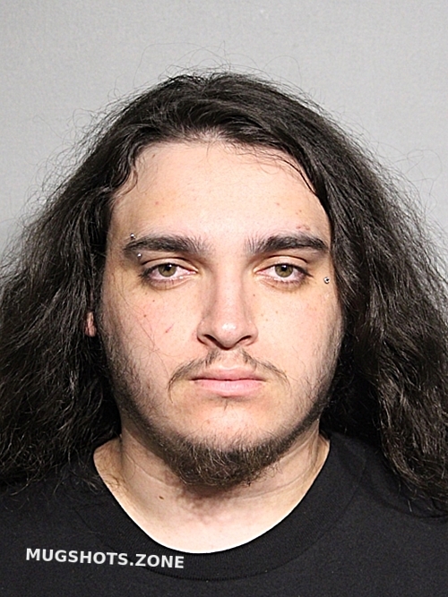 JUSTICE R ERICKSON 06/25/2025 - Chicago Mugshots Zone