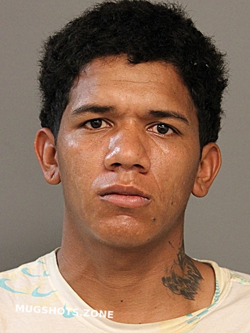 DAVID MANUEL TESARA-CASTRO 06/26/2025 - Chicago Mugshots Zone