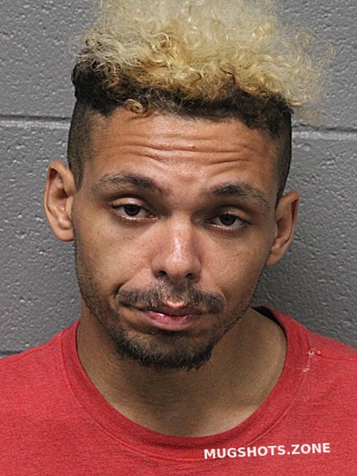 ANTHONY THOMAS GENGO 06/29/2025 - Chicago Mugshots Zone