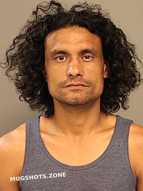 RAMON DE JESUS CHRINOS-BRACHO 06/29/2025 - Chicago Mugshots Zone