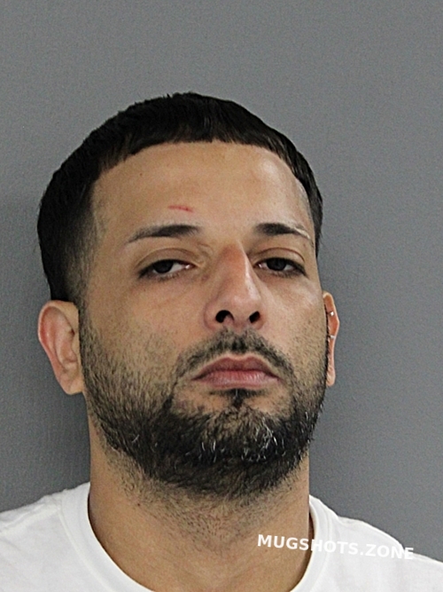 JOSE E ROMAN GRAULAU 06/29/2025 - Chicago Mugshots Zone