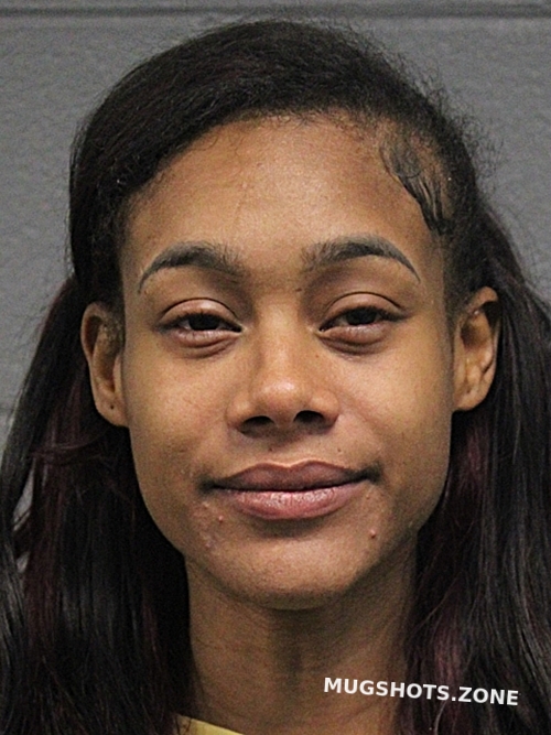 BIANCA INGRAM CANTELMO DAVIS 07/02/2025 - Chicago Mugshots Zone