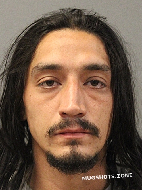 ANGEL L ALVAREZ 07/03/2025 - Chicago Mugshots Zone