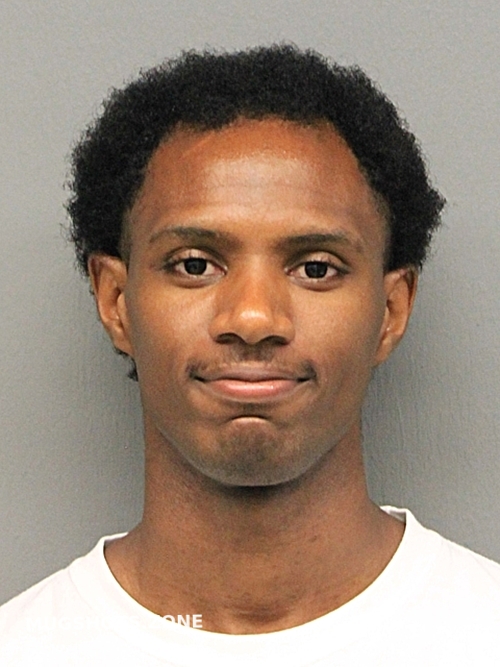 ROBERT V DAVIS 07/03/2025 - Chicago Mugshots Zone