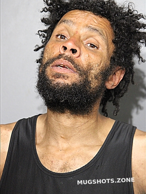 CHAD J CHAMBERLAIN 07/03/2025 - Chicago Mugshots Zone