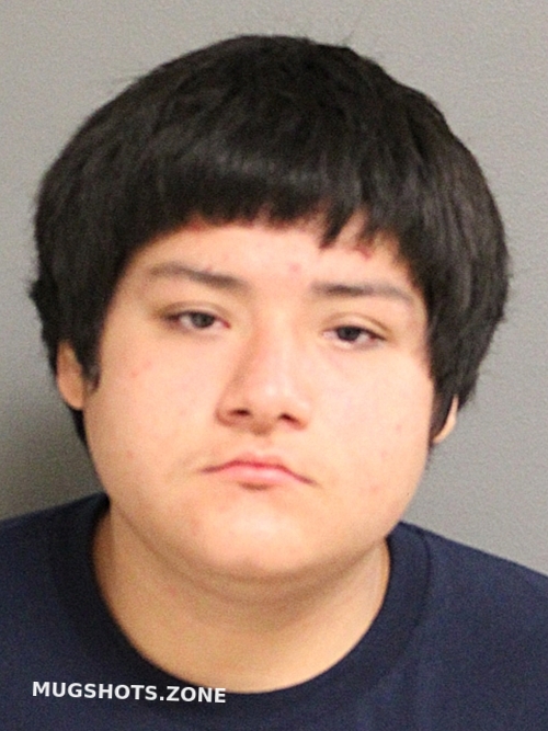 AIDAN ORTEGA 07/04/2025 - Chicago Mugshots Zone
