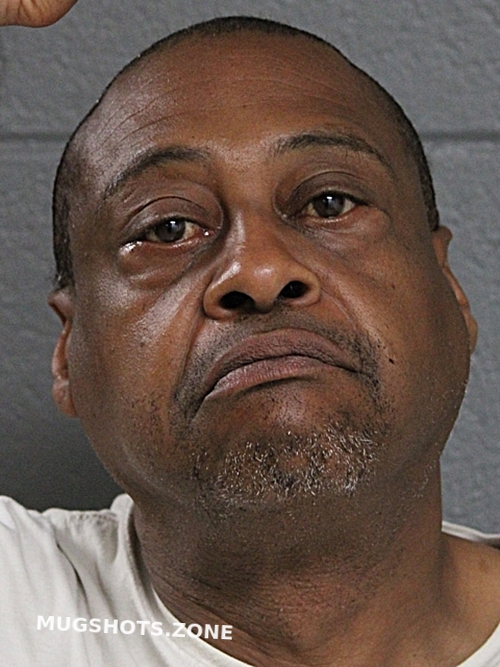 STEPHEN DAVIS 07/05/2025 - Chicago Mugshots Zone