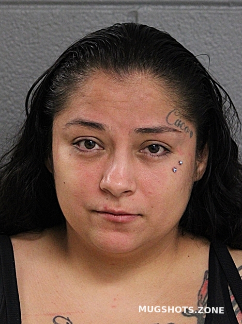 MANUELA BUSTAMANTE 07/05/2025 - Chicago Mugshots Zone