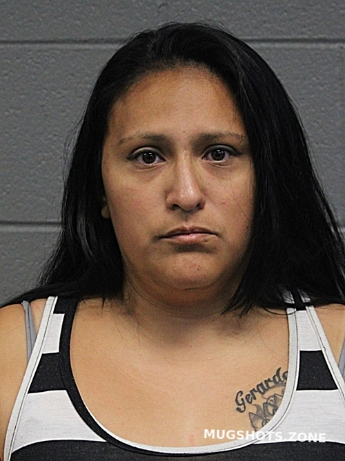 ANA JASMIN RODRIGUEZ 07/06/2025 - Chicago Mugshots Zone