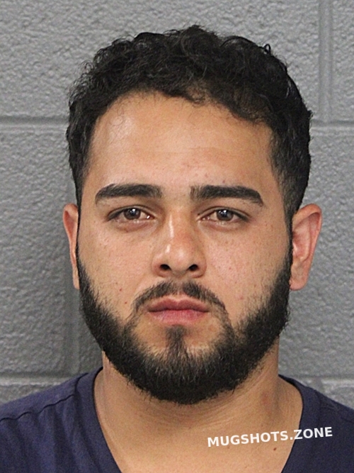 REINALDO J ZAMBRANO VELIZ 07/06/2025 - Chicago Mugshots Zone