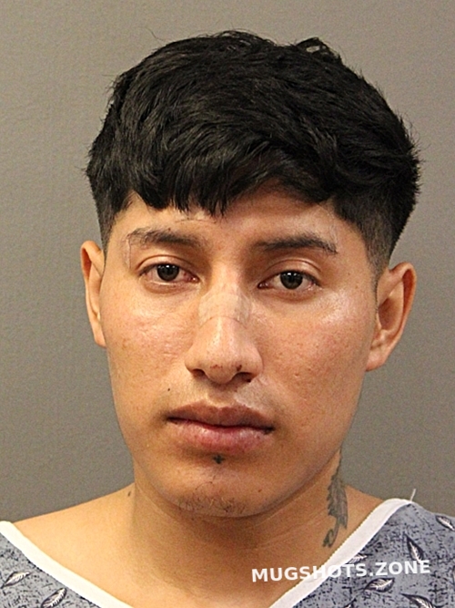 WILSON RODRIGO MANZANO 07/06/2025 - Chicago Mugshots Zone