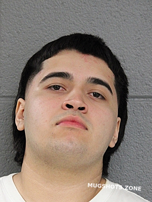 LENY MARTINEZ 07/08/2025 - Chicago Mugshots Zone