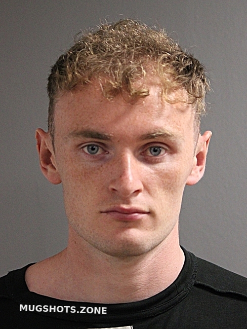 LEONARDO G GREY 07/11/2025 - Chicago Mugshots Zone