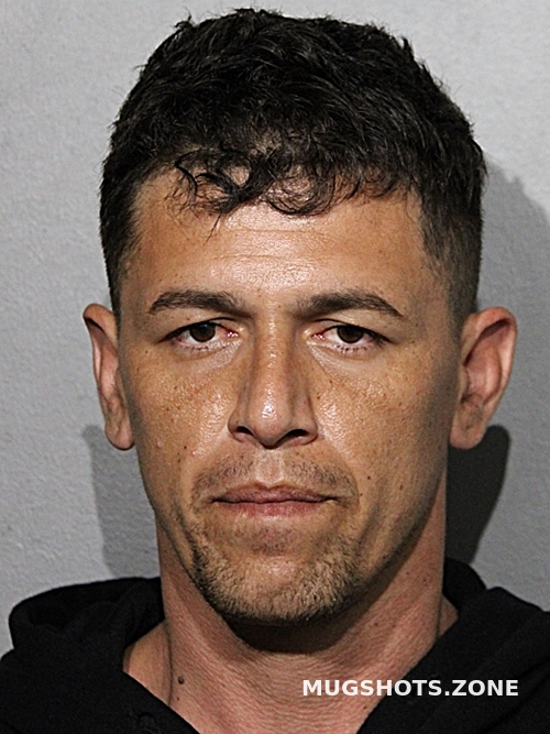 LUIGI A ROSARIO CAMACARO 07/12/2025 - Chicago Mugshots Zone