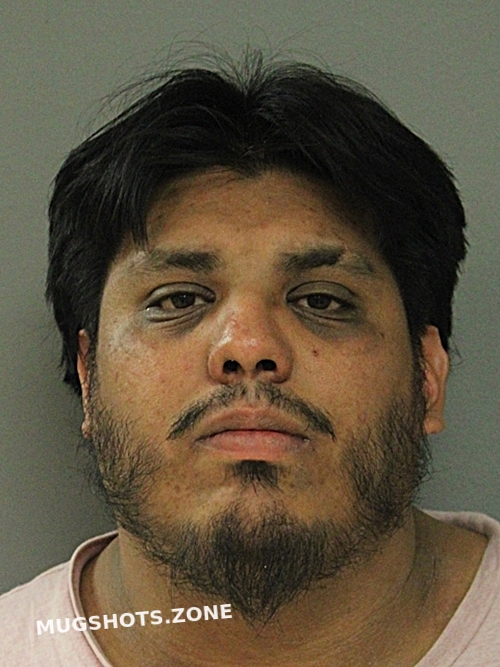 RAUL CASTRO 07/13/2025 - Chicago Mugshots Zone