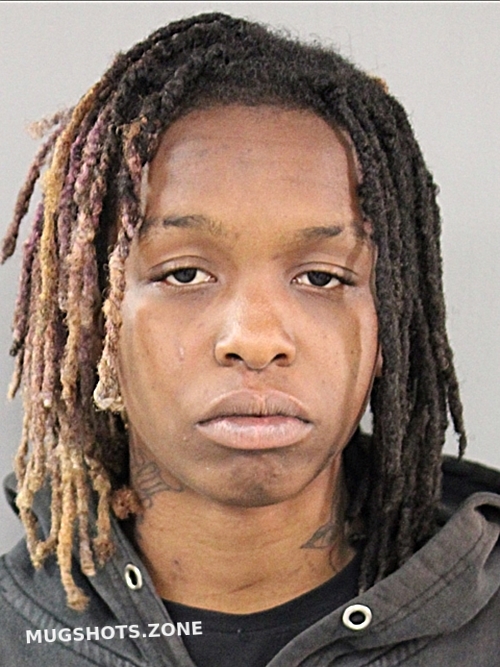 DESTINY C DONALD 07/14/2025 - Chicago Mugshots Zone