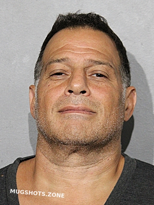 RUSSELL D GREENBERG 07/15/2025 - Chicago Mugshots Zone
