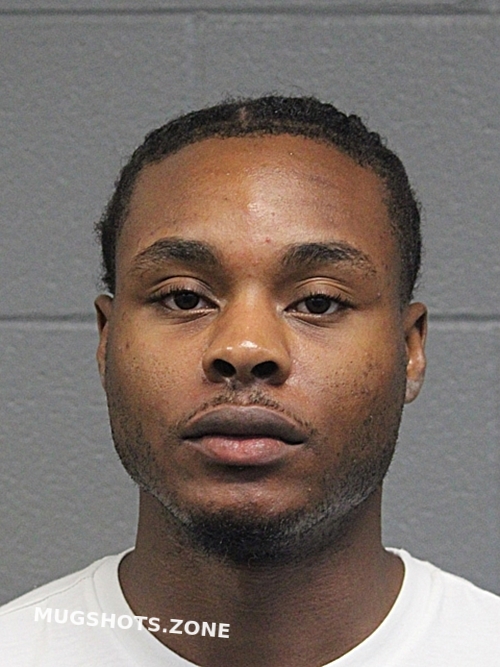 NATHAN T DAVIS 07/23/2025 - Chicago Mugshots Zone