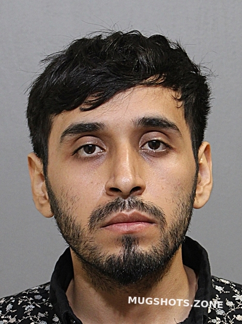 LUIS FELIPE MARTINEZ 07/23/2025 - Chicago Mugshots Zone