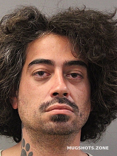 LUIS EMILIO GONZALEZ 07/24/2025 - Chicago Mugshots Zone