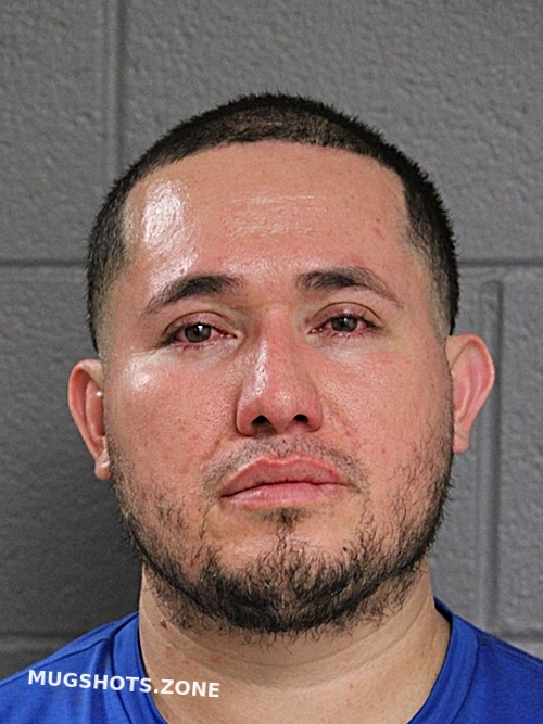 JOSE M LANDA SALGADO 07/24/2025 - Chicago Mugshots Zone