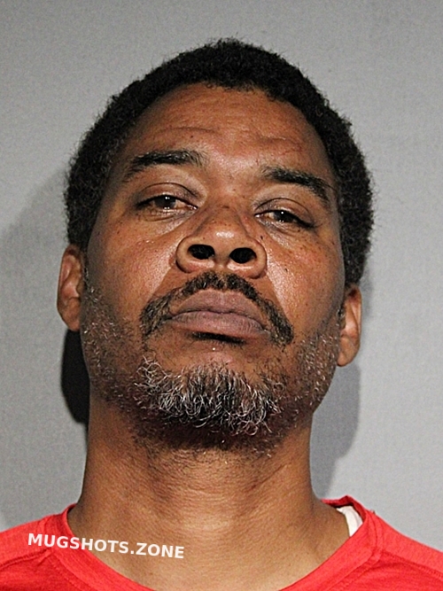 MICHAEL L JOHNSON 07/25/2025 - Chicago Mugshots Zone