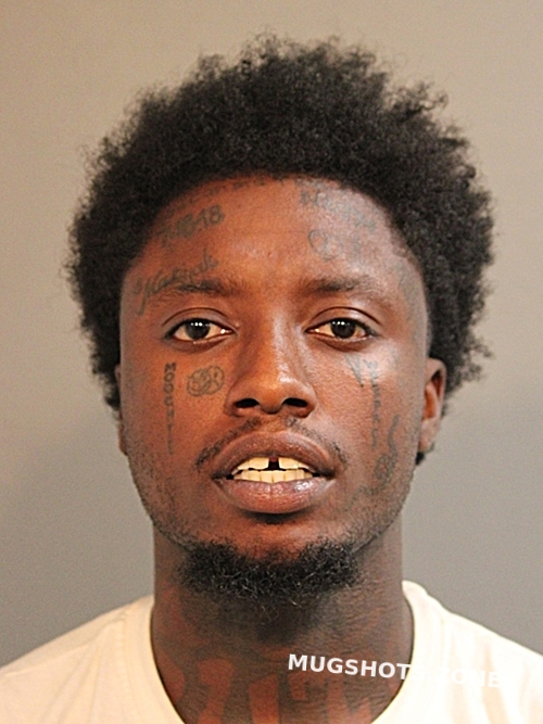 RONNELL S JOHNSON 07/29/2025 - Chicago Mugshots Zone
