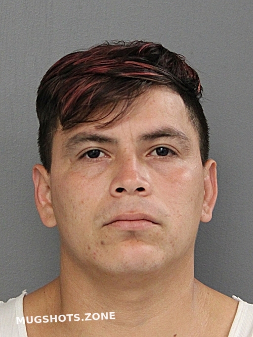 JUAN JOSE ROJAS CAMACARO 07/30/2025 - Chicago Mugshots Zone