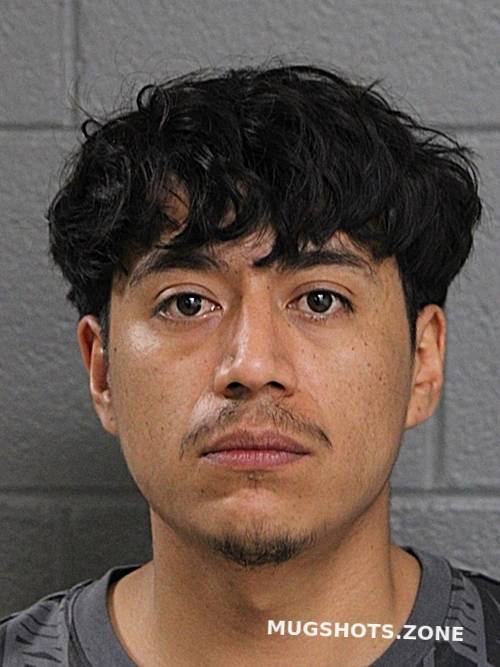JESUS TORRES TREVERA 07/30/2025 - Chicago Mugshots Zone