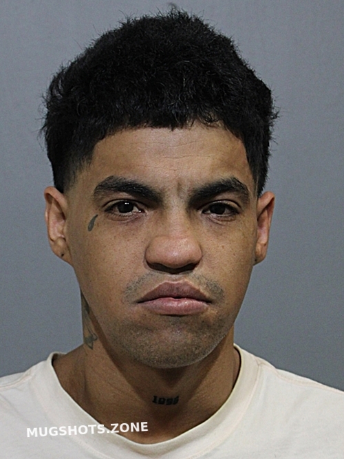 JOSE MANUEL YEPES 07/31/2025 - Chicago Mugshots Zone