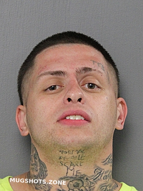 JAKE ANDREW SUTTON 08/01/2025 - Chicago Mugshots Zone