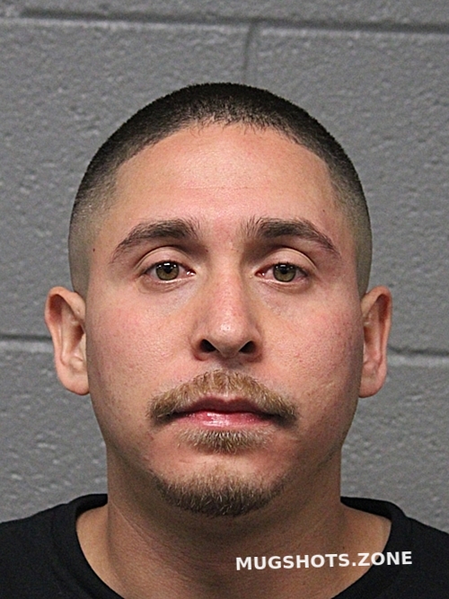 JOSE LUIS TORRES 08/01/2025 - Chicago Mugshots Zone