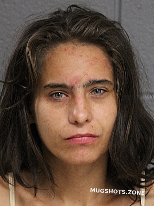 KATELYNN M CONTRERAS 08/02/2025 - Chicago Mugshots Zone