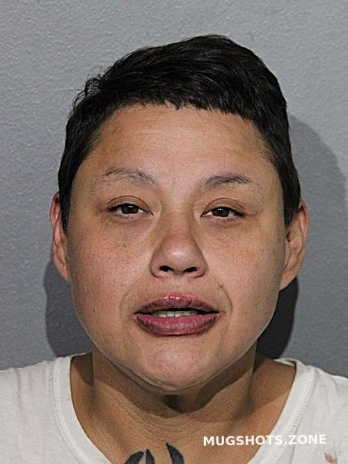 CATHERINE A SILAS 08/04/2025 - Chicago Mugshots Zone