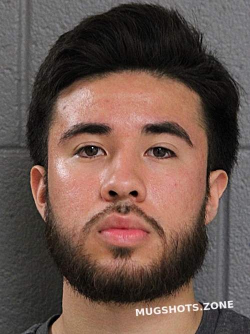 LUIS ANGEL PARGA MONTES 08/08/2025 - Chicago Mugshots Zone