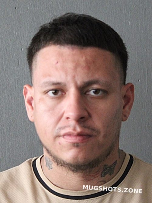 LEONEL ROMERO 08/08/2025 - Chicago Mugshots Zone