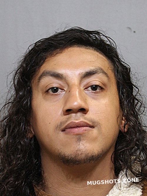 MATTHEW THOMAS ROGGENKAMP 08/11/2025 - Chicago Mugshots Zone