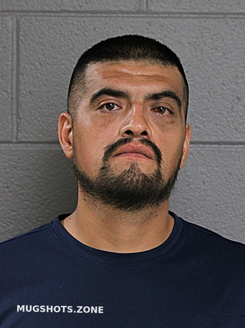 JOSE DANTE HERNANDEZ ORTEGA 08/12/2025 - Chicago Mugshots Zone