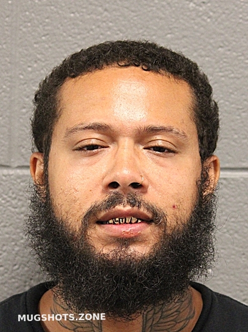 MICHAEL R THOMPSON 08/12/2025 - Chicago Mugshots Zone