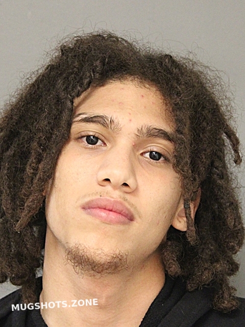 ANTHONY A BOU 08/13/2025 - Chicago Mugshots Zone