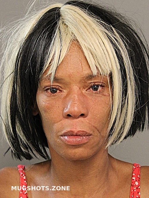 STEPHANIE N HARRIS 08/14/2025 - Chicago Mugshots Zone