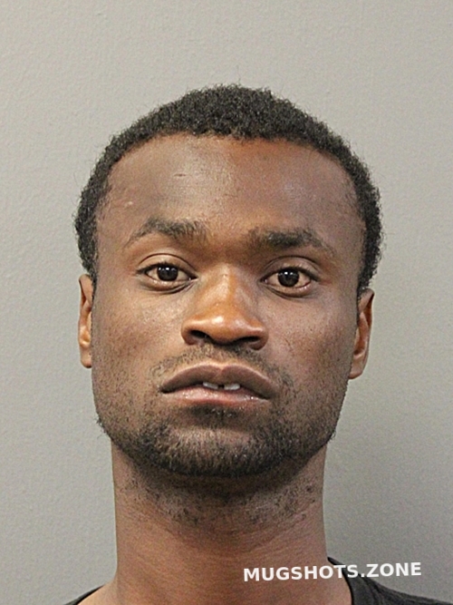 TERRY JOHNSON 08/23/2025 - Chicago Mugshots Zone