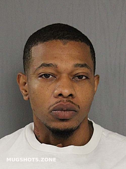 LAVANTE DONNELL RILEY 08/25/2025 - Chicago Mugshots Zone
